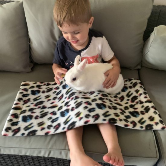 Buy Cuddle Sacks | Guinea Pigs & Rabbits | Teacup Nethies