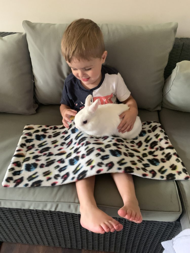 Lap Pad | Rabbit & Guinea Pig | Teacup Nethies