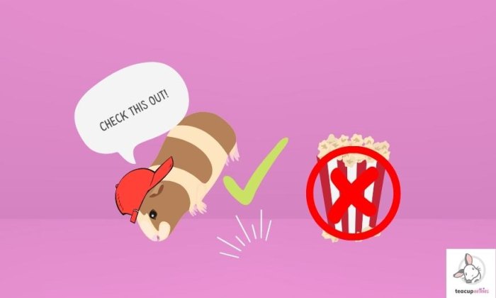 15 Fun & Amazing Facts About Guinea Pigs | Teacup Nethies