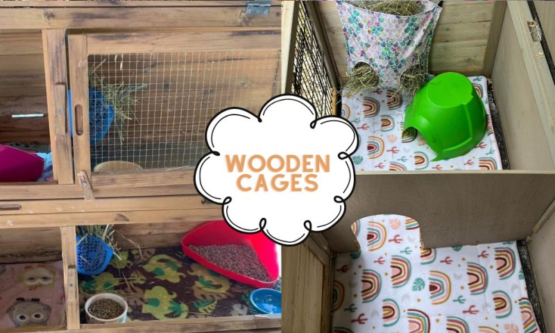 Best Guinea Pig Cages: Find The Right Home | Teacup Nethies